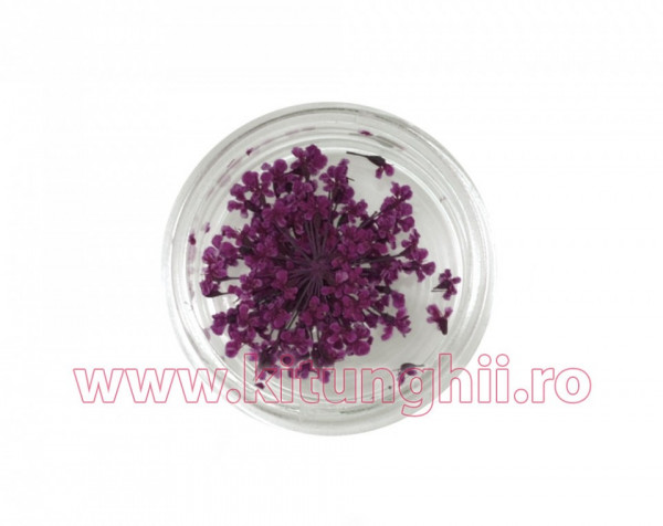 Floare uscata naturala unghii - Dusk Sky